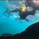 Non Swimmers Discovery Tour ocean - What’s Included and What to Expect