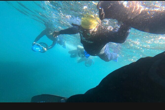 Non Swimmers Discovery Tour ocean - What’s Included and What to Expect