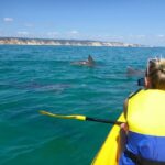 Noosa: Dolphin Sea Kayak & Beach 4X4 Tour (in National Park) - Why This Tour Offers Great Value