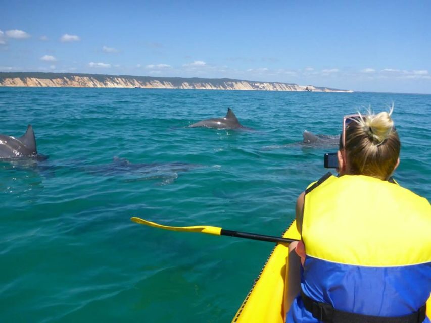 Noosa: Dolphin Sea Kayak & Beach 4X4 Tour (in National Park) - Why This Tour Offers Great Value