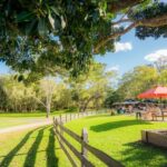 Noosa: Everglades Explorer Cruise - Who Will Love This Tour?