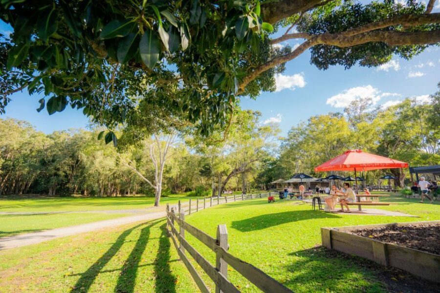 Noosa: Everglades Explorer Cruise - Who Will Love This Tour?
