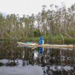 Noosa Everglades: Truly Sustainable Self Guided KAYAK Tour - The Experience in Detail