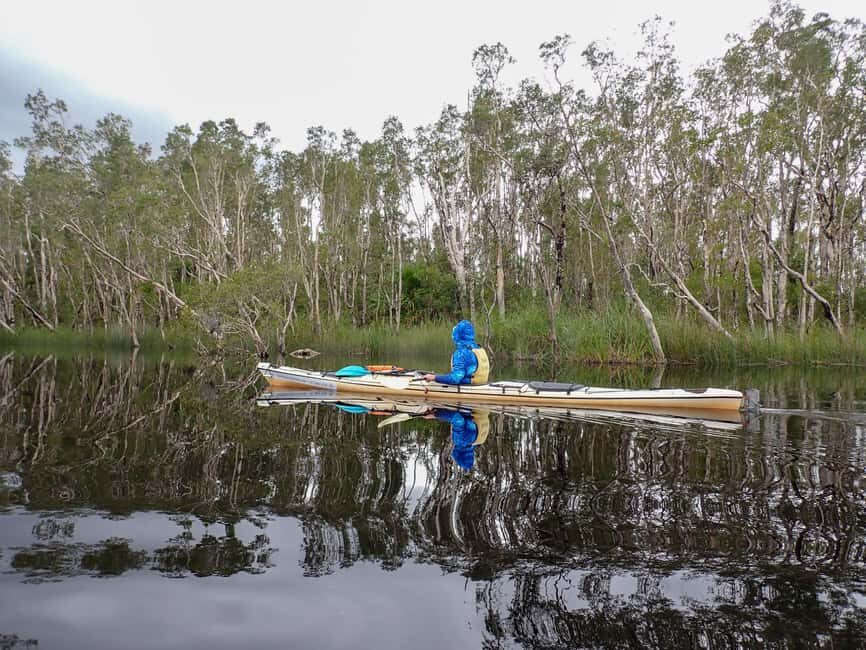 Noosa Everglades: Truly Sustainable Self Guided KAYAK Tour - The Experience in Detail