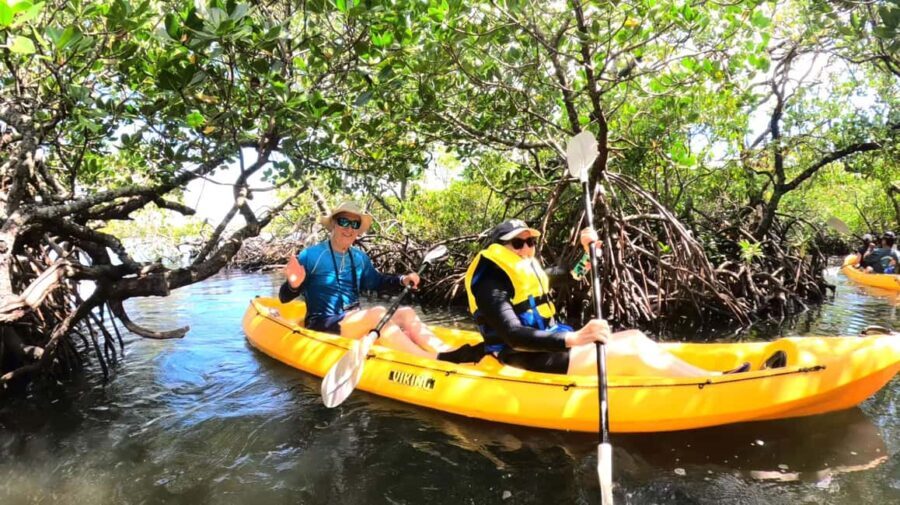 Noosa Heads: Hidden Waterways Wildlife Kayak (Fully Guided) - Glide Through Enchanting Mangrove Tunnels
