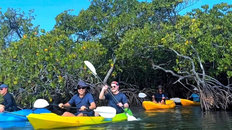Noosa Heads: Hidden Waterways Wildlife Kayak (Self-Guided) - Reviews & Authentic Perspectives