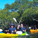 Noosa Heads: Hidden Waterways & Wildlife Kayak Tour - What to Expect from Your Kayak Adventure