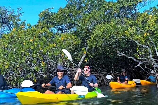 Noosa Heads: Hidden Waterways & Wildlife Kayak Tour - What to Expect from Your Kayak Adventure