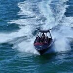 Noosa; Noosa Thriller Whale Watching - Who Should Book This Tour?