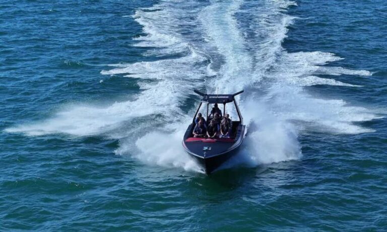 Noosa; Noosa Thriller Whale Watching - Who Should Book This Tour?