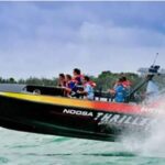 Noosa: Ocean Adventure & Dolphin Safari - Marine Life & Wildlife: What You’re Likely to See