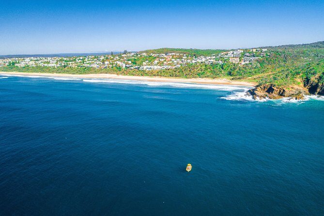 Noosa ocean adventure & Dolphin safari. - Authentic Experiences: What Travelers Say