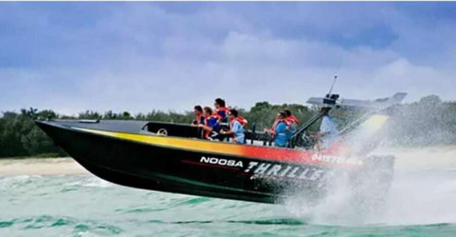 Noosa: Ocean Adventure & Dolphin Safari - Marine Life & Wildlife: What You’re Likely to See