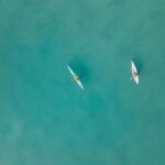 Noosa River: Mangroves and Mansions Guided Kayak Tour - The Itinerary in Detail