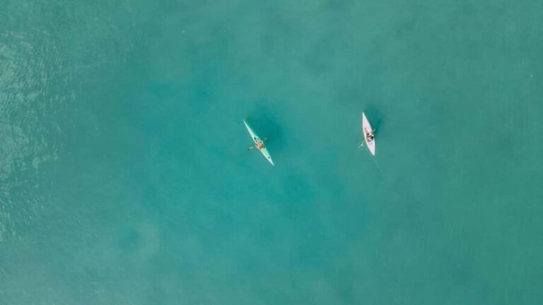 Noosa River: Mangroves and Mansions Guided Kayak Tour - The Itinerary in Detail