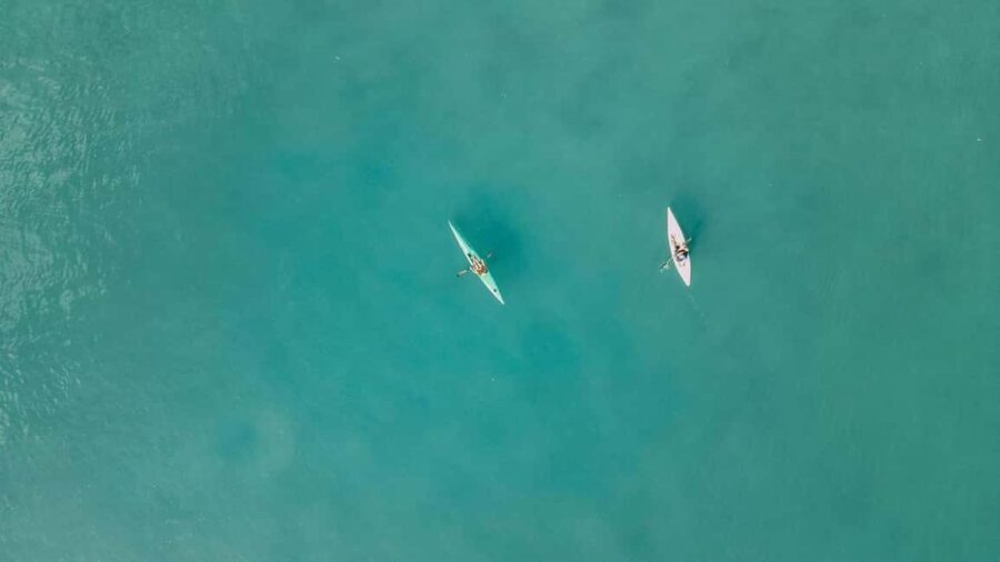 Noosa River: Mangroves and Mansions Guided Kayak Tour - The Itinerary in Detail