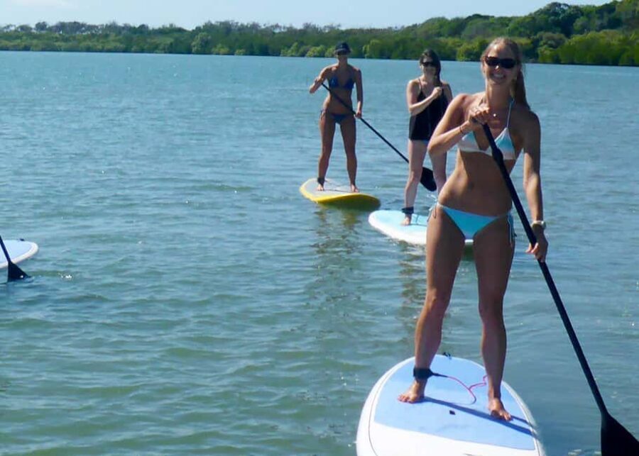Noosa Stand Up Paddle & Mangrove Tunnel Tour (Fully Guided) - What We Love and What to Consider