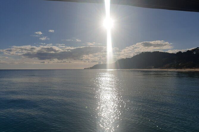 Noosa Surfing and Snorkel Boat Charters to Sunshine Coast in QLD - FAQ