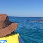 Noosa Whale Watching On Ocean Kayaks & Beach 4X4 Tour - Authentic Experiences and Review Highlights