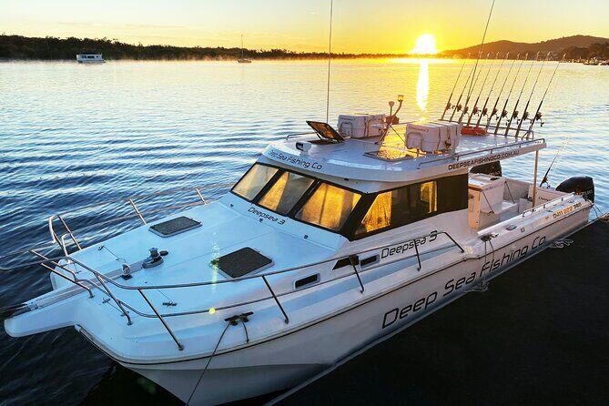 Noosa Whale Watching Tours - Final Thoughts