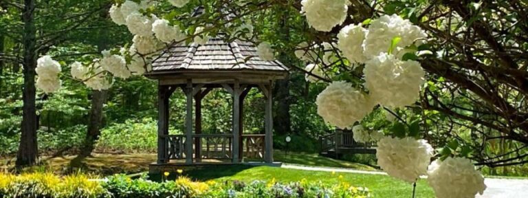 North Atlanta: Gibbs Gardens Self-Guided Slingshot Tour - Is This Tour Worth It?