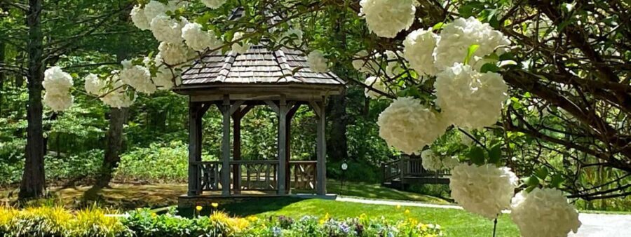 North Atlanta: Gibbs Gardens Self-Guided Slingshot Tour - Is This Tour Worth It?