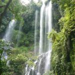 North Bali Tour: Banyumala Waterfall & Wanagiri Hidden Hills - Why This Tour Works