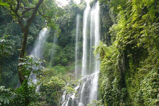 North Bali Tour: Banyumala Waterfall & Wanagiri Hidden Hills - Why This Tour Works
