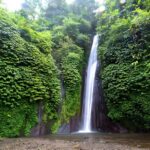 North Bali Tour - Visiting Rice Terrace, Lake, Waterfall, Temple and Hot Spring - FAQs