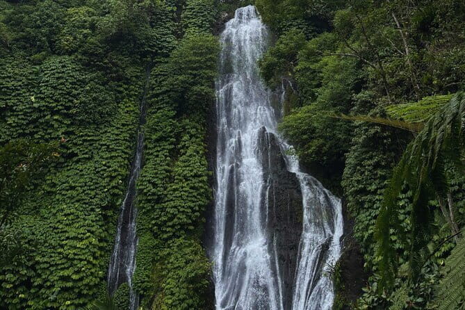 North Bali Waterfall Enthusiast Private Tour - What’s Included? And What’s Not?