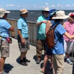 North Beach: North Beach Scenic Guided Walking Tour - The Practical Side
