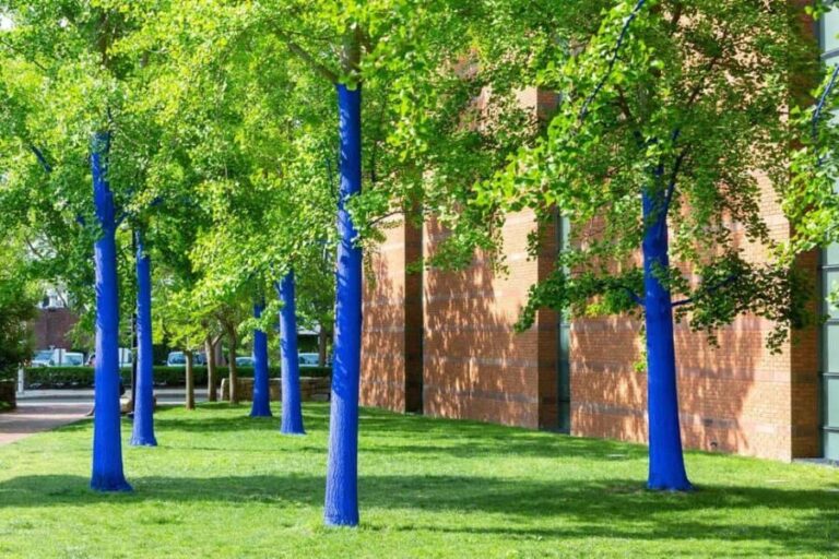 North Chelmsford: The Salem Witch Museum & Memorial Tour - What Do Visitors Say?