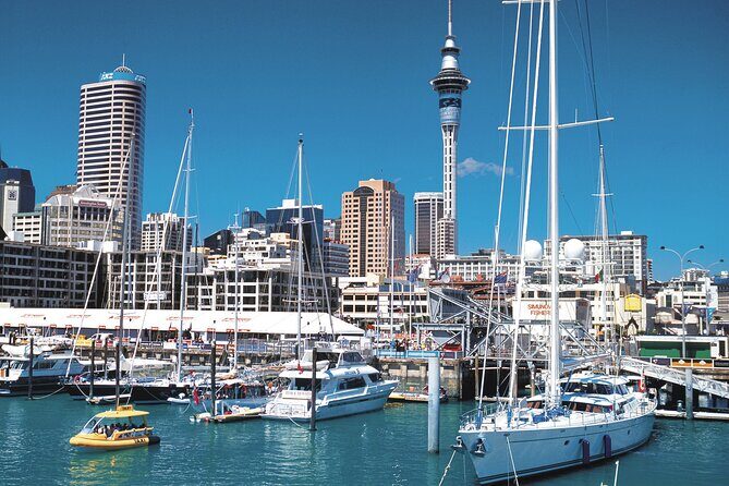 North Island Four-Day Highlights Tour from Auckland - What the Tour Includes and Excludes