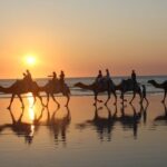 North of Rocks on Cable Beach: 1-Hour Sunset Camel Ride - Who Will Love This Experience?