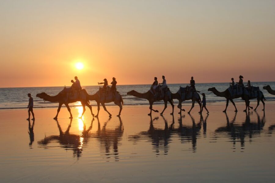 North of Rocks on Cable Beach: 1-Hour Sunset Camel Ride - Who Will Love This Experience?
