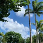 North Shore Highlight Tour - Transportation and Group Experience