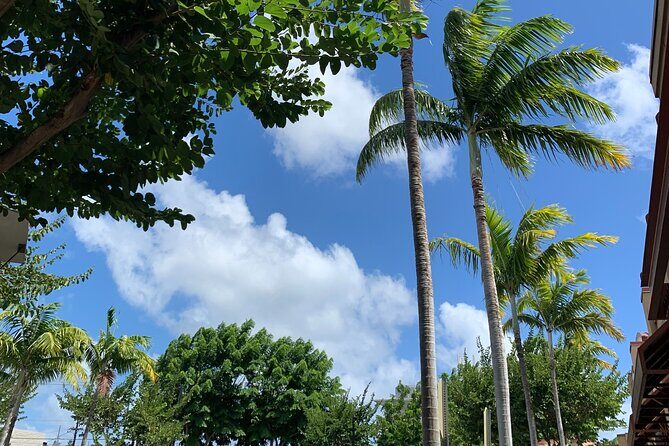 North Shore Highlight Tour - Transportation and Group Experience