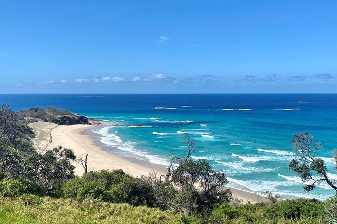 North Stradbroke Island WILDLIFE Adventure Tour from Brisbane - The Value of This Tour