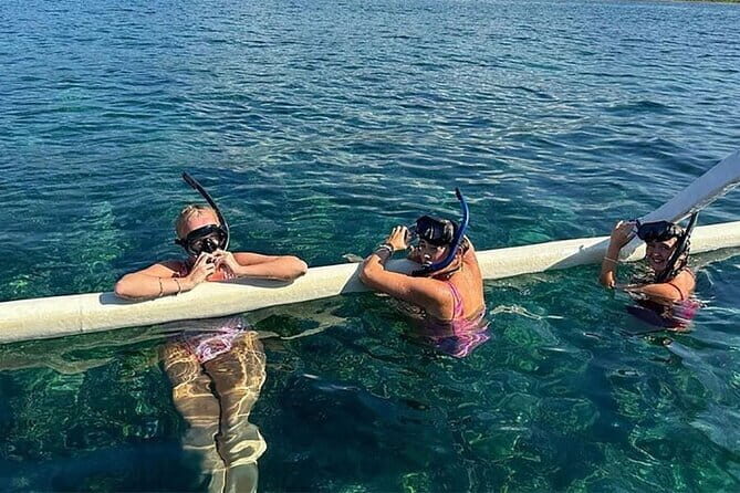 Northern Bali: Dolphin Watching and Snorkeling Experience - The Practicalities – What You Need to Know