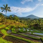Northern Bali Tour - Private Full Day Tour - All Inclusive - Overview of the Itinerary and What You Can Expect
