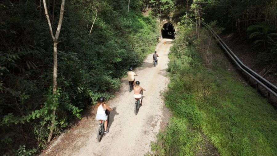 Northern Rivers Rail Trail E-Bike Hire w Shuttle from Byron - What the Bike Ride Looks Like