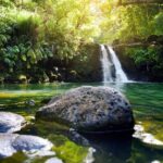 Northshore Maui: Guided Rainforest and Waterfall Walk - What’s Included and What to Bring