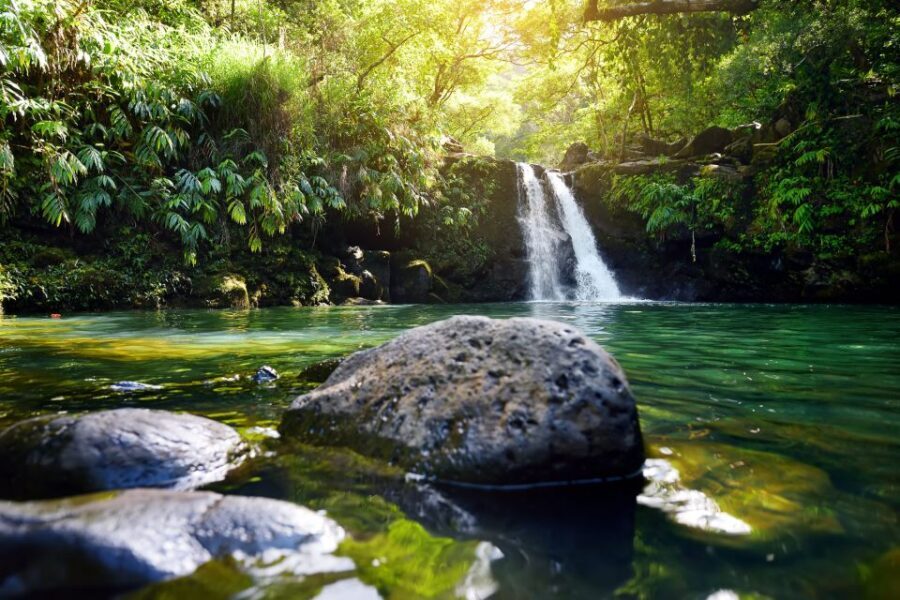 Northshore Maui: Guided Rainforest and Waterfall Walk - What’s Included and What to Bring