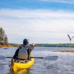 Nova Scotia: Guided Half-Day LaHave Islands Sea Kayak Tour - What You Can Expect: The Itinerary in Detail