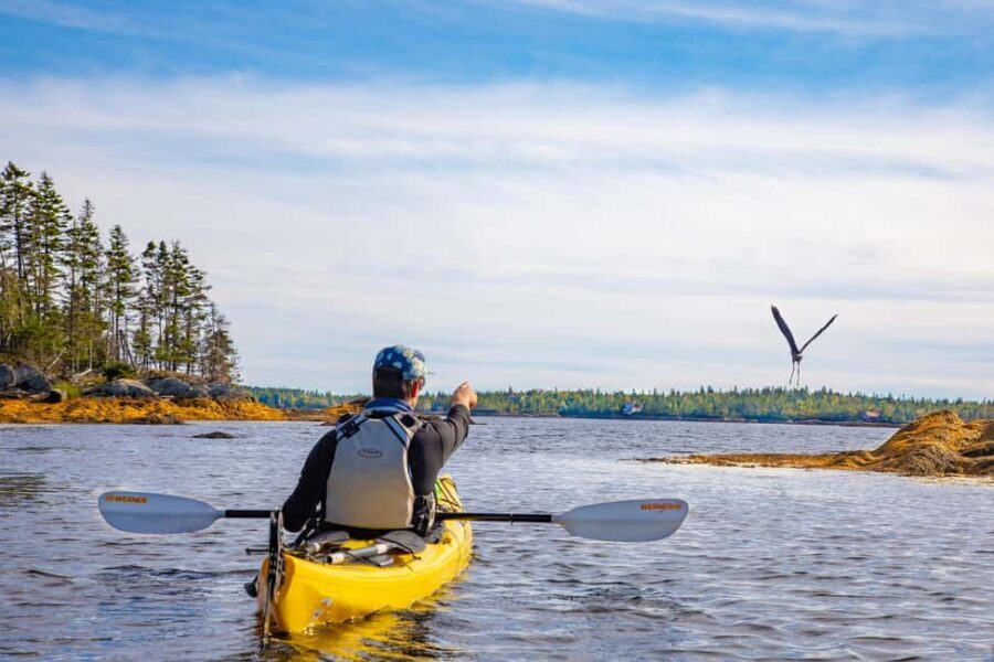 Nova Scotia: Guided Half-Day LaHave Islands Sea Kayak Tour - What You Can Expect: The Itinerary in Detail