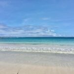Novotel Nadi to Natadola Beach Round Trip - Who Will Benefit Most from This Tour?