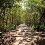 Novotel North E-Bike Tour - An In-Depth Look at the Novotel North E-Bike Tour