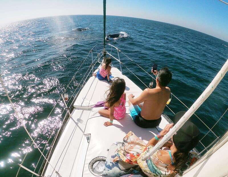 Nuevo Vallarta: Whale Watching by Sailboat Tour - The itinerary: What to Expect on Your Whale Watching Day