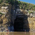 Nugget Point and Cathedral Caves Private Tour from Dunedin - Why This Tour Offers Great Value