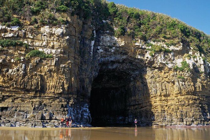 Nugget Point and Cathedral Caves Private Tour from Dunedin - Why This Tour Offers Great Value
